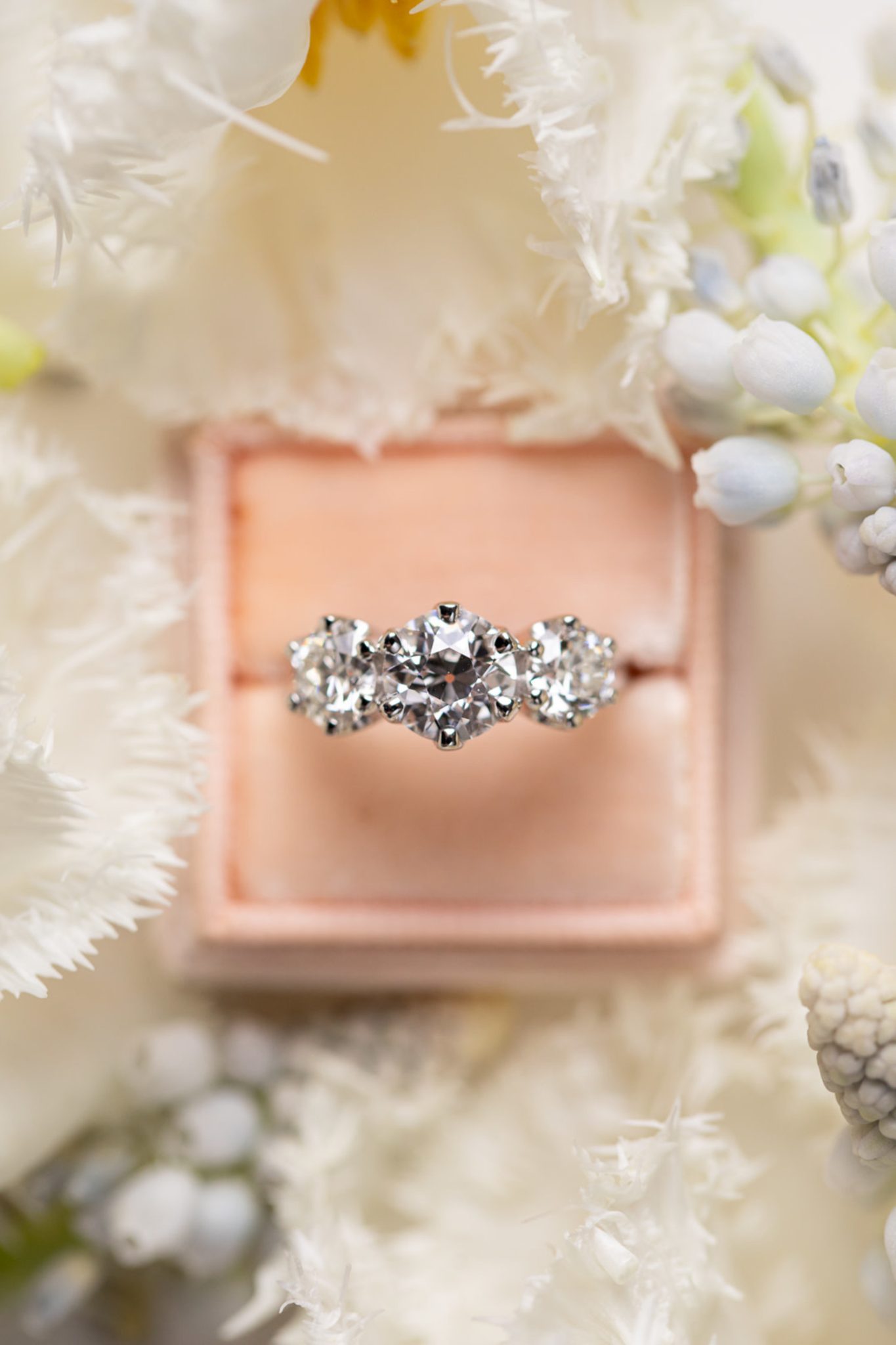 The Colette Round 6-Prong 3-Stone Engagement Ring Setting with Round ...